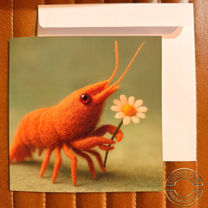 Shrimp Felt Gift Card @ Shrimp Cove. Buy now shrimptastic!